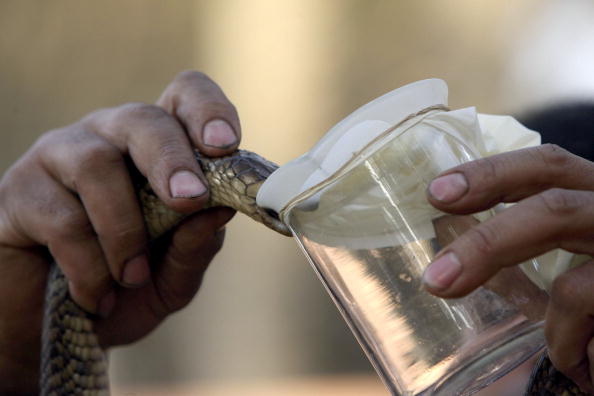 This Video Explains the Horrific Things that Happen if You’ve Got ...