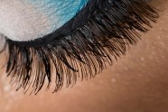The Purpose Of Eyelashes Goes Beyond Looking Pretty Youth Health Magzine